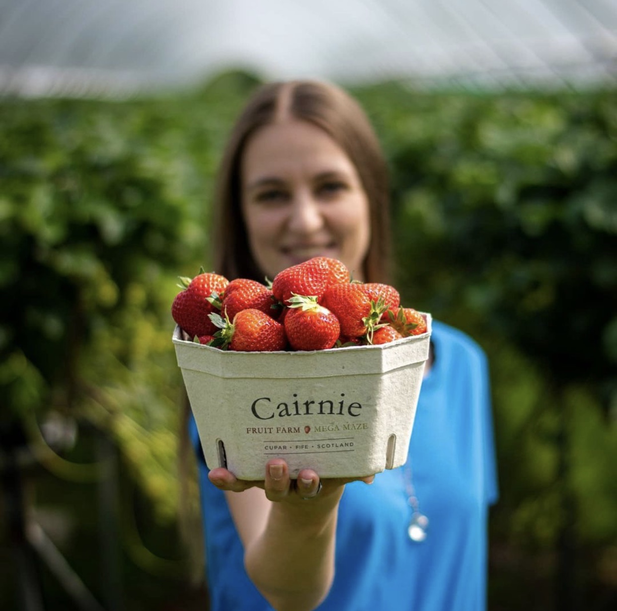 Are Dogs Allowed At Cairnie Fruit Farm