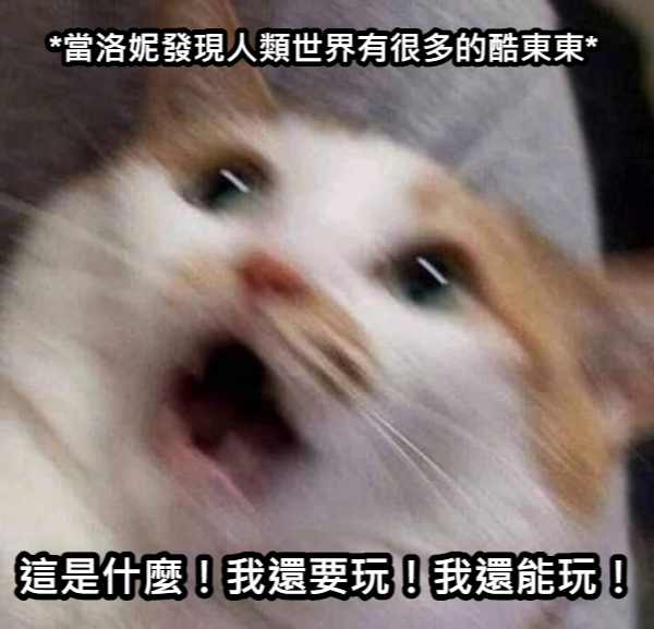 洛妮🐧RoniMaca🎮台灣Vtuber準備中 (@RoniMacaVtuber) | Twitter