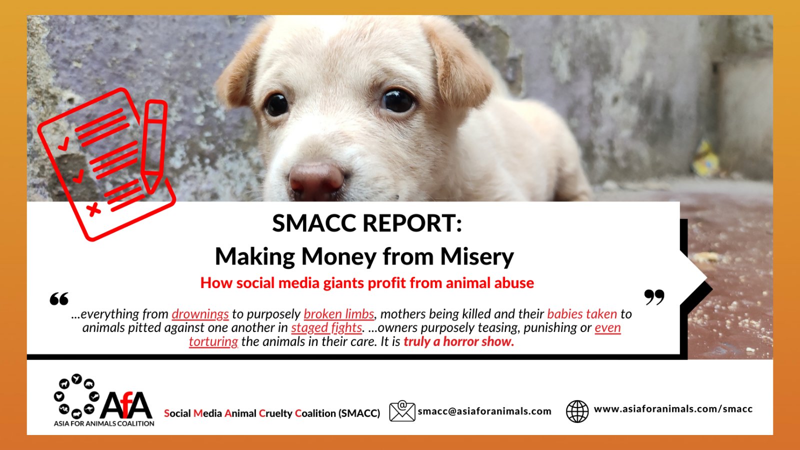 Animal Abuse Dogs And Cats