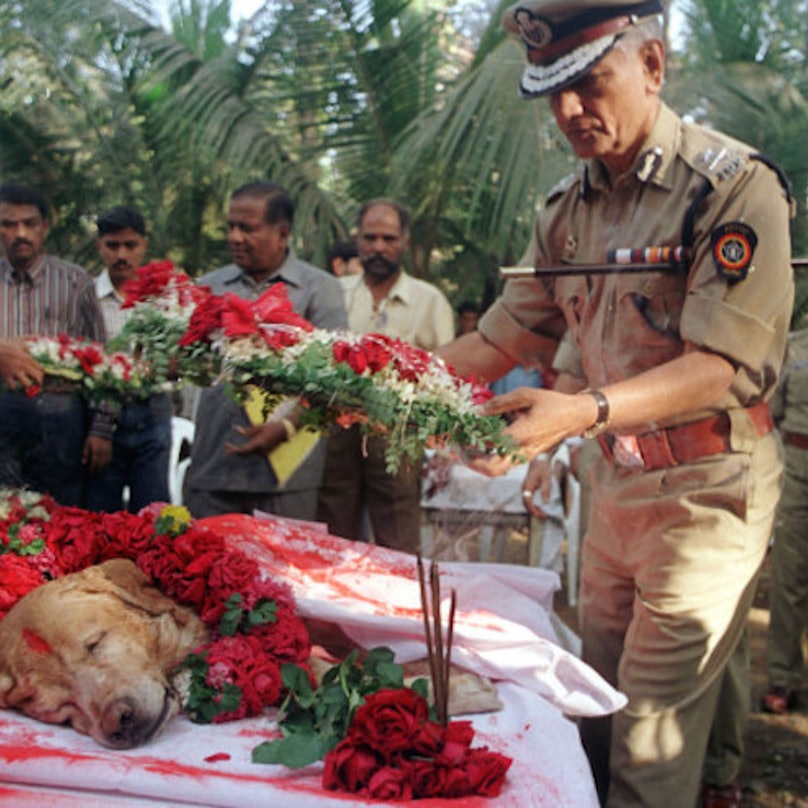 Indian Police Dog Funeral