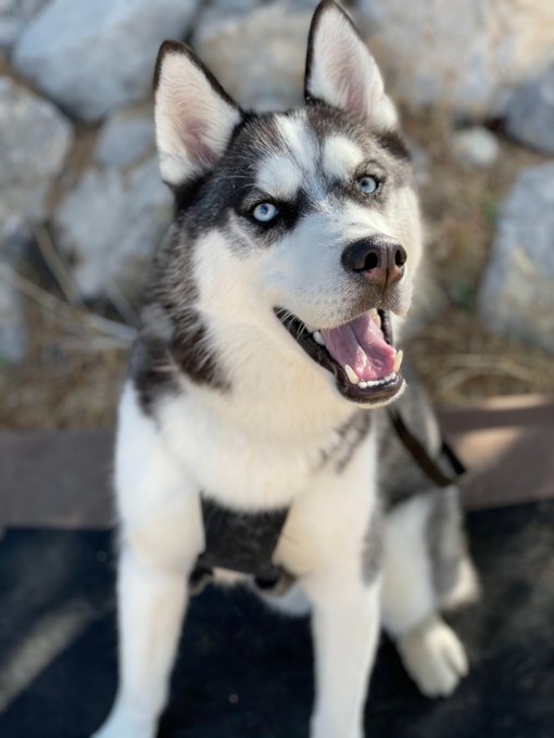 TW Pornstars - Nami Has A Small Ween. The most liked pictures and ...