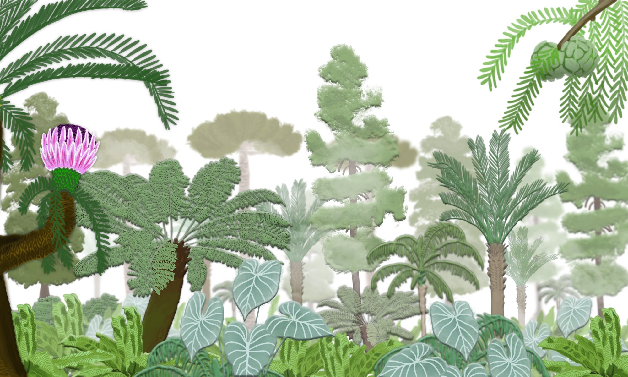 Late Cretaceous Plants