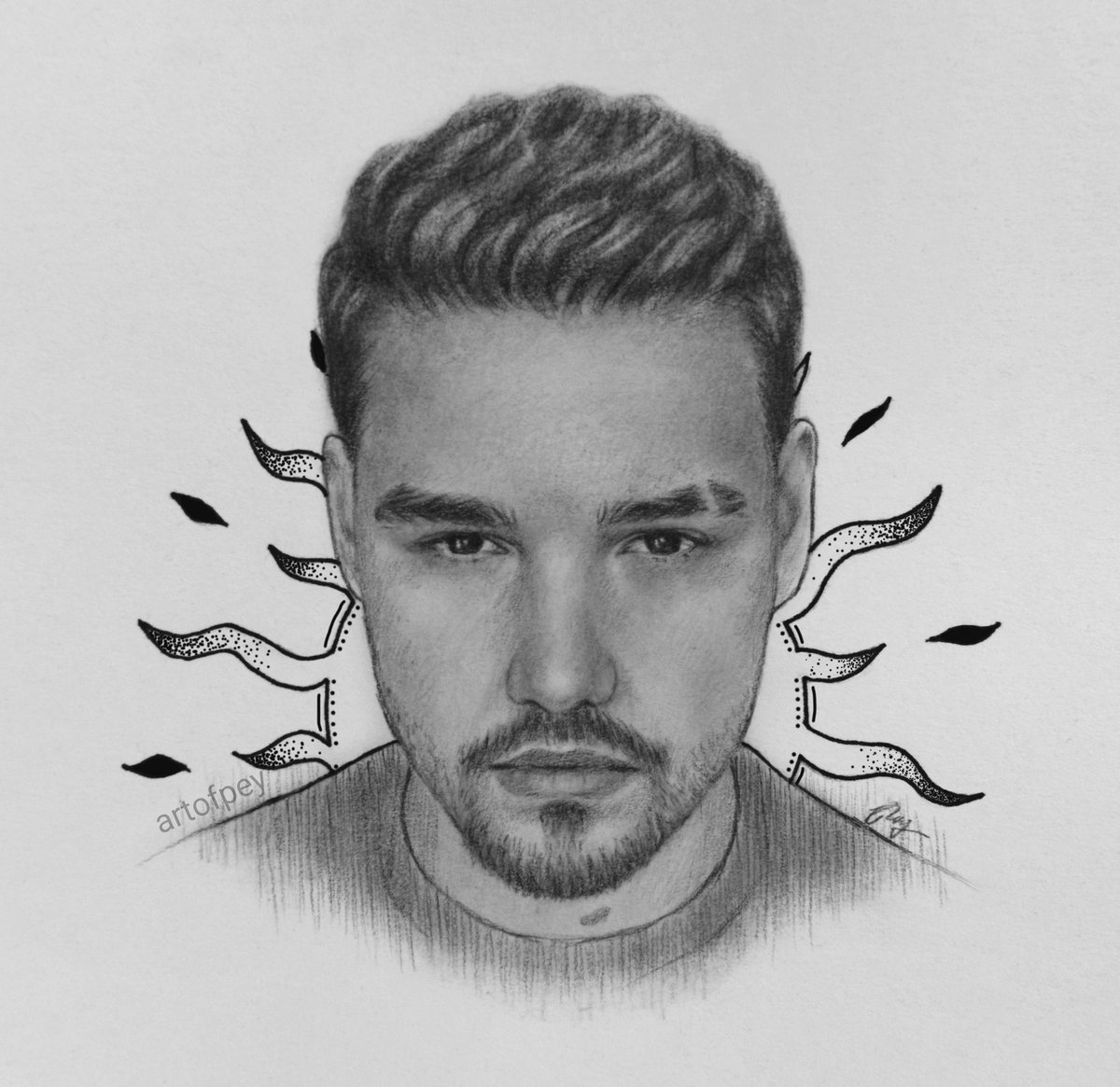 Liam Payne Drawing