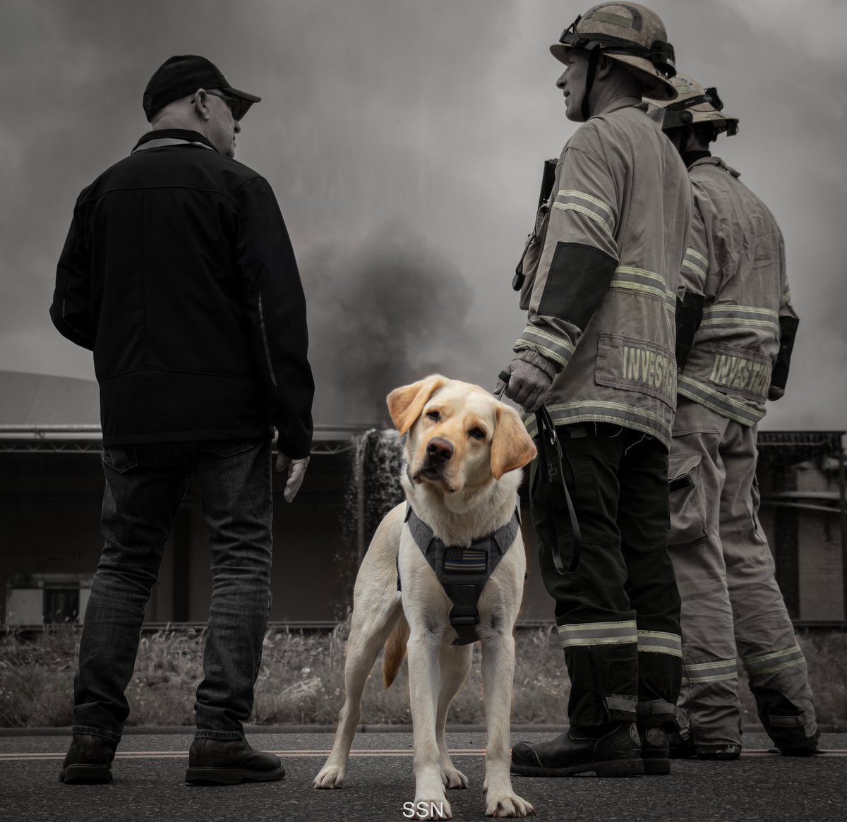 Live Social Media Feed | Central Pierce Fire & Rescue