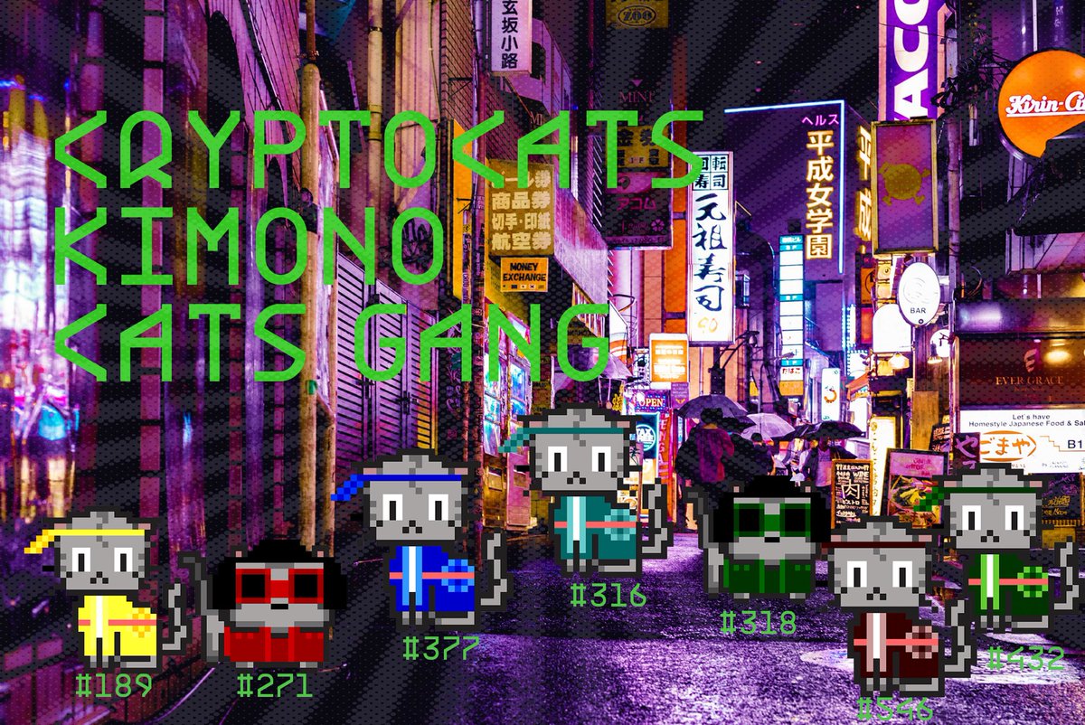 MsCat (@TheCatInsider) | Twitter