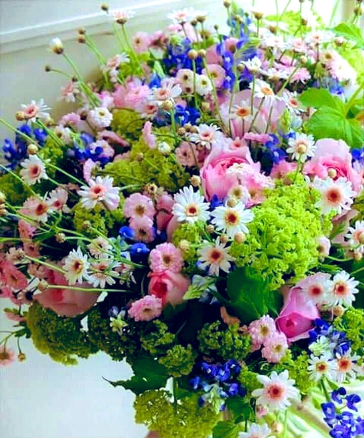 Zichen Yu （有关必回） (@ZichenYu2) | Twitter