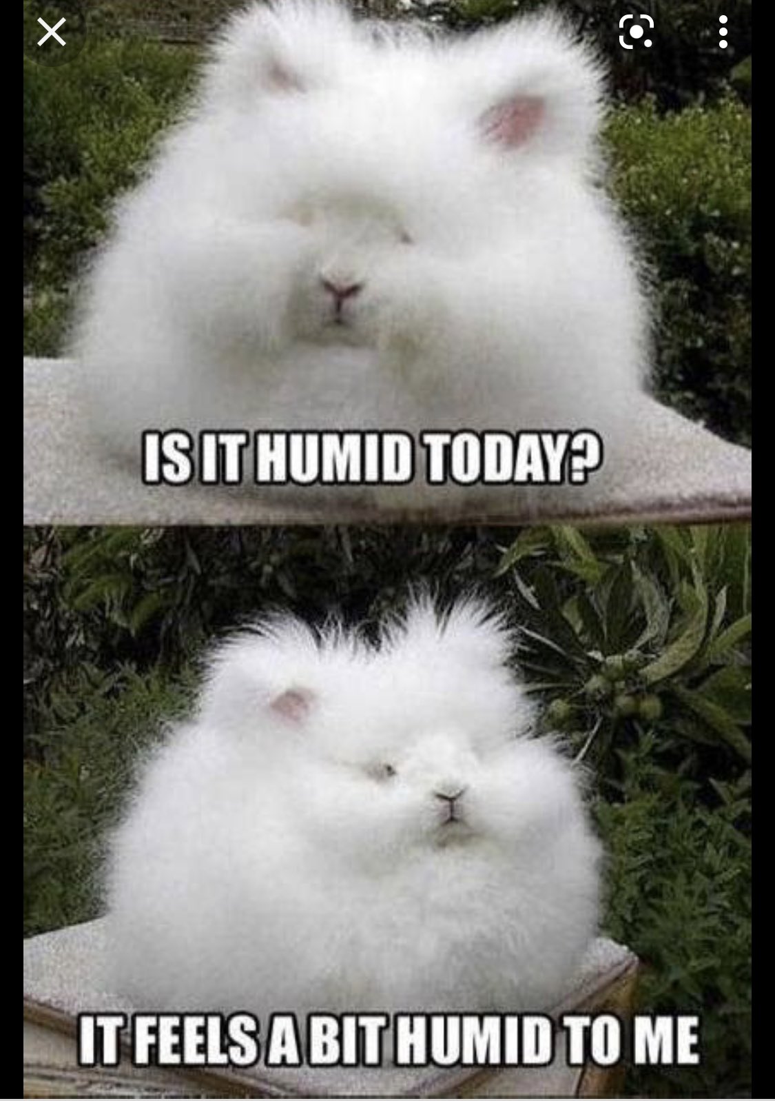 Too Hot Weather Memes Hot Weather Memes And Images Imgur