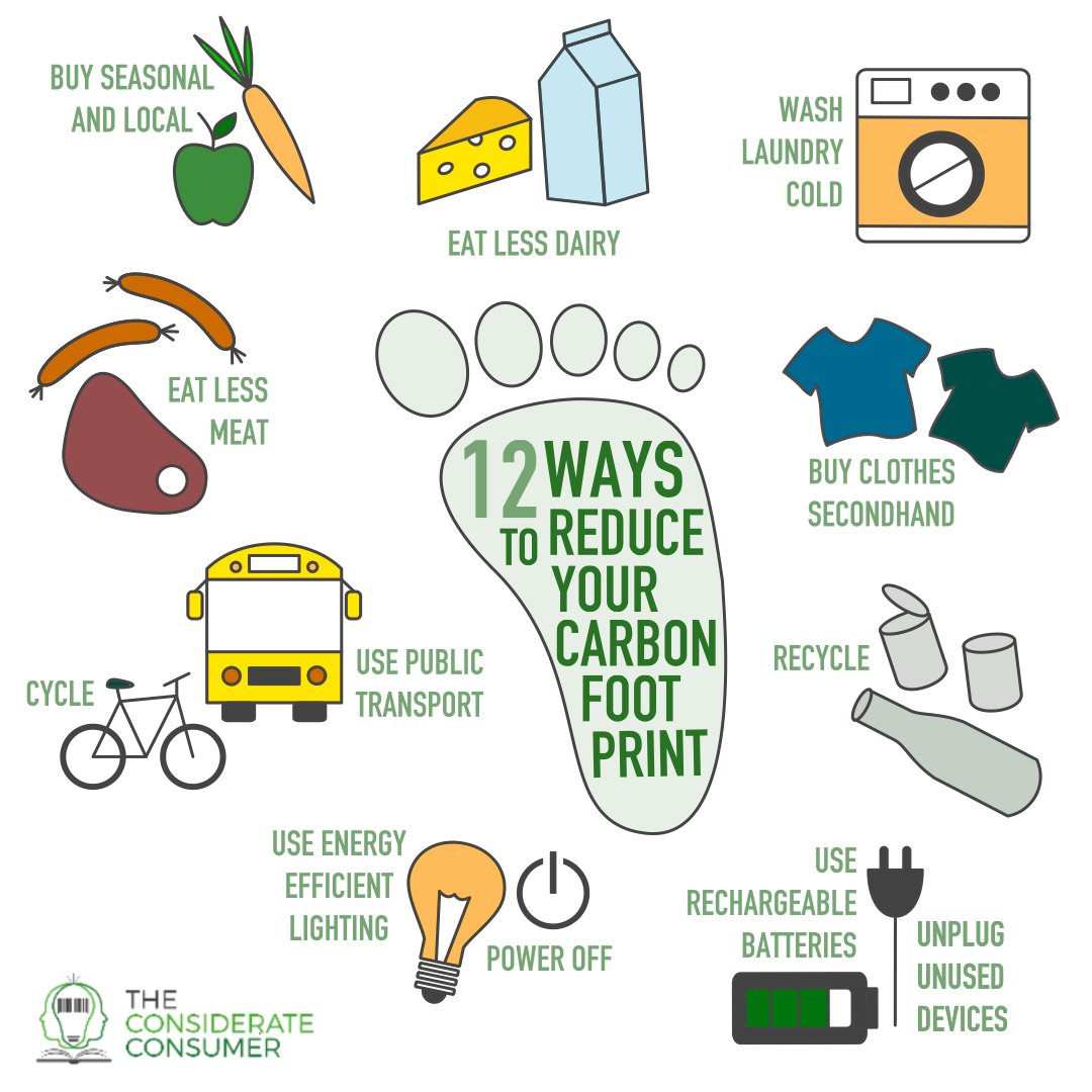 Ecological Footprint Poster