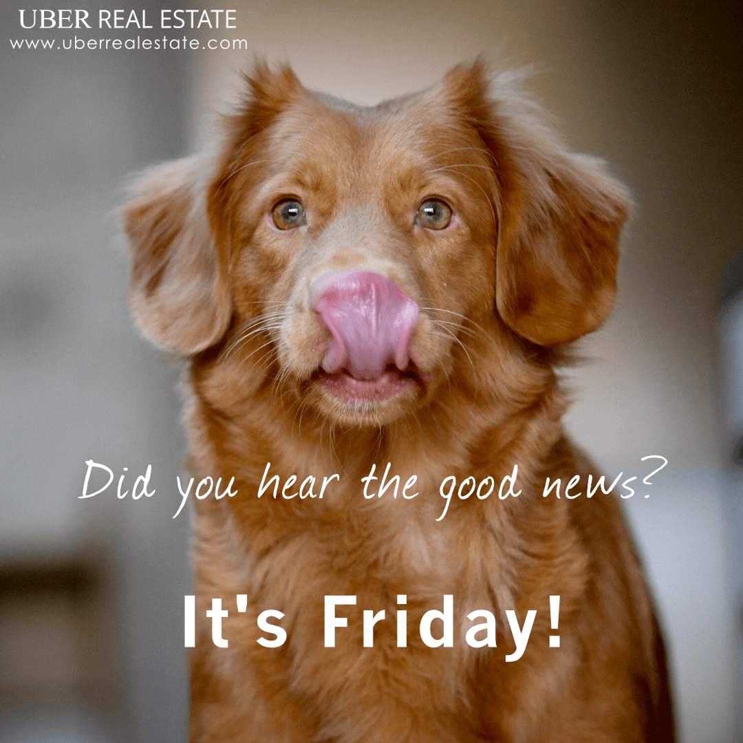 Funny Animal Friday Quotes