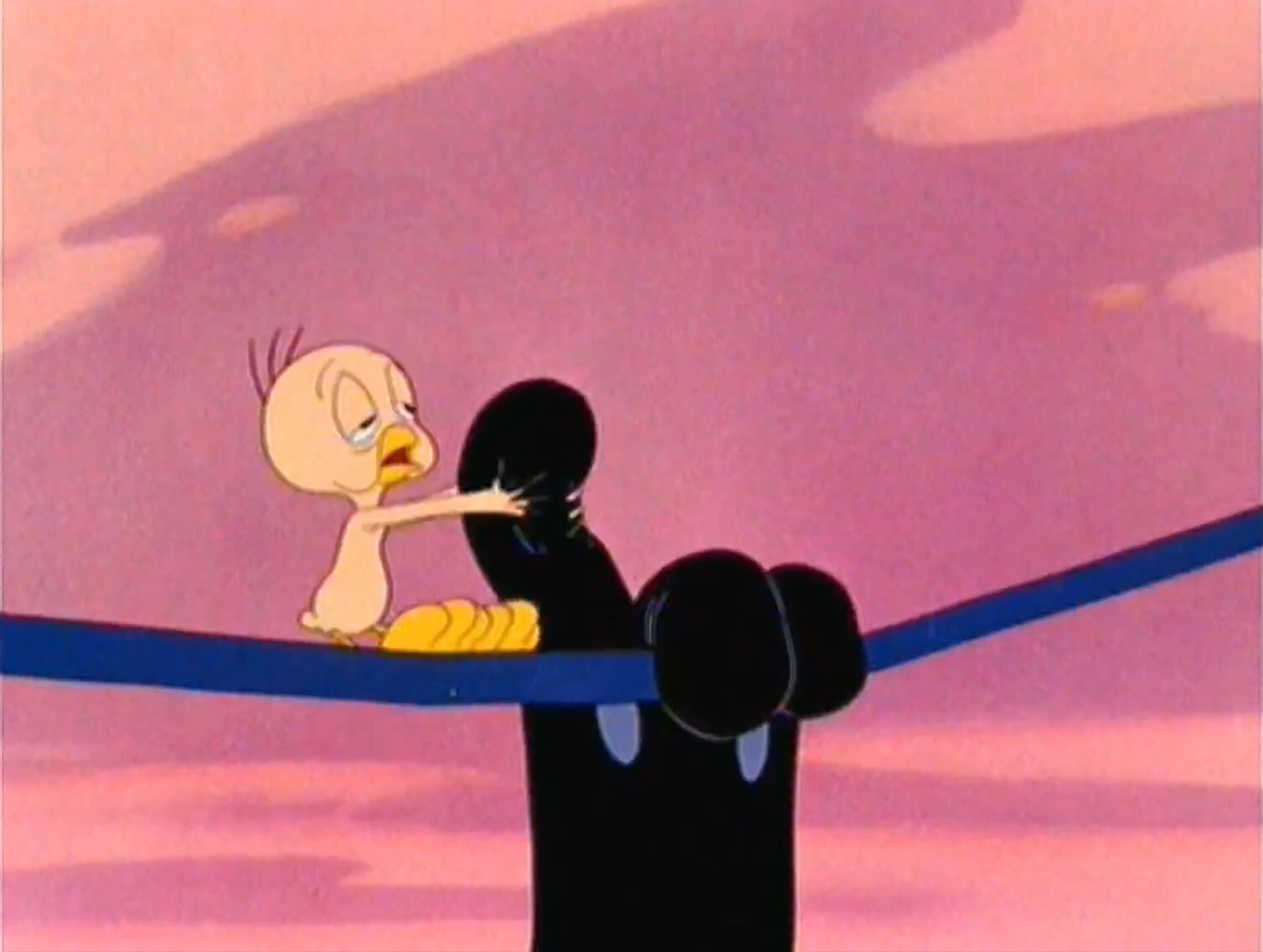 Looney Tunes Characters Tweety
