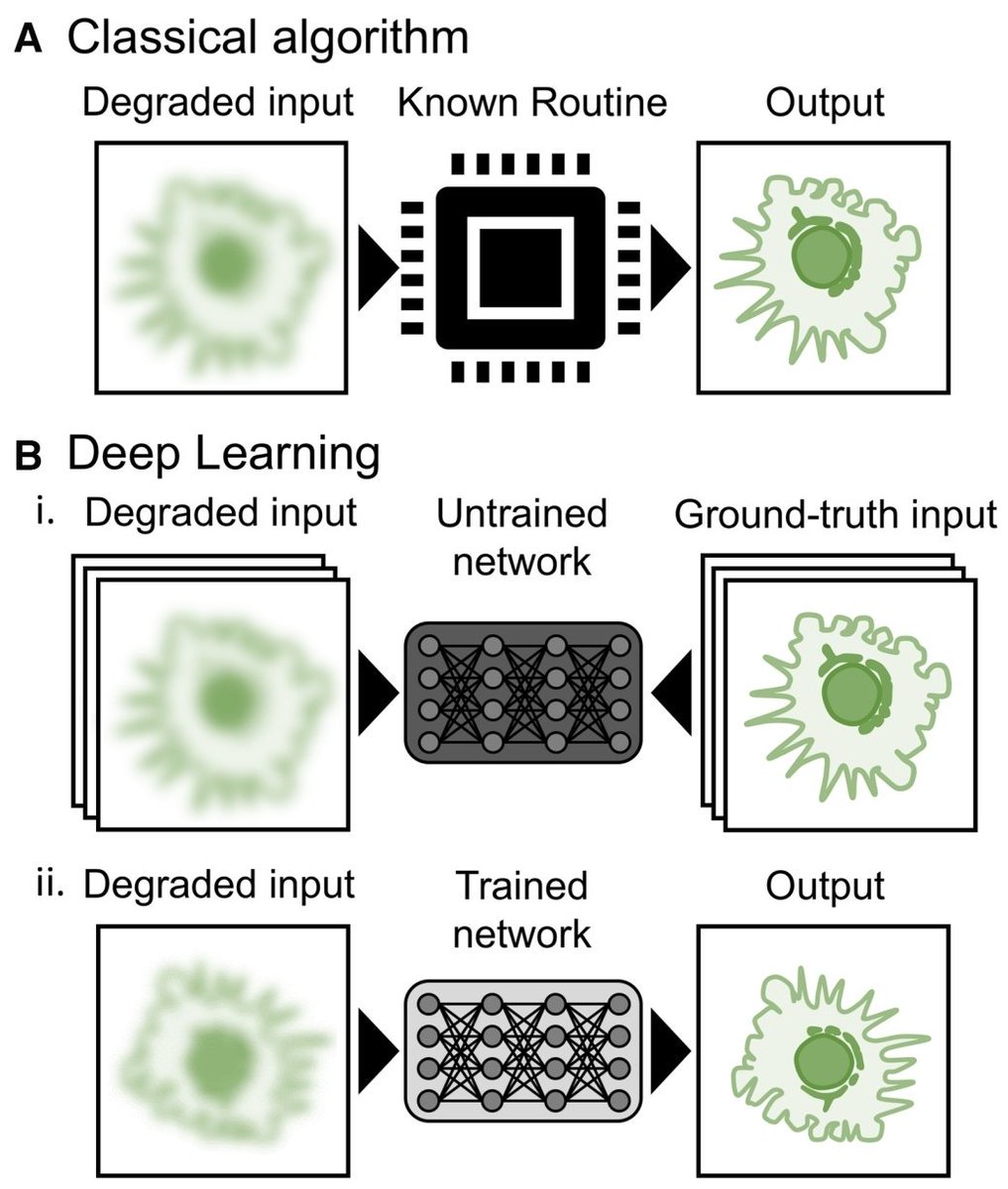 Ruby Peters (@Ruby_Peters_) | Twitter