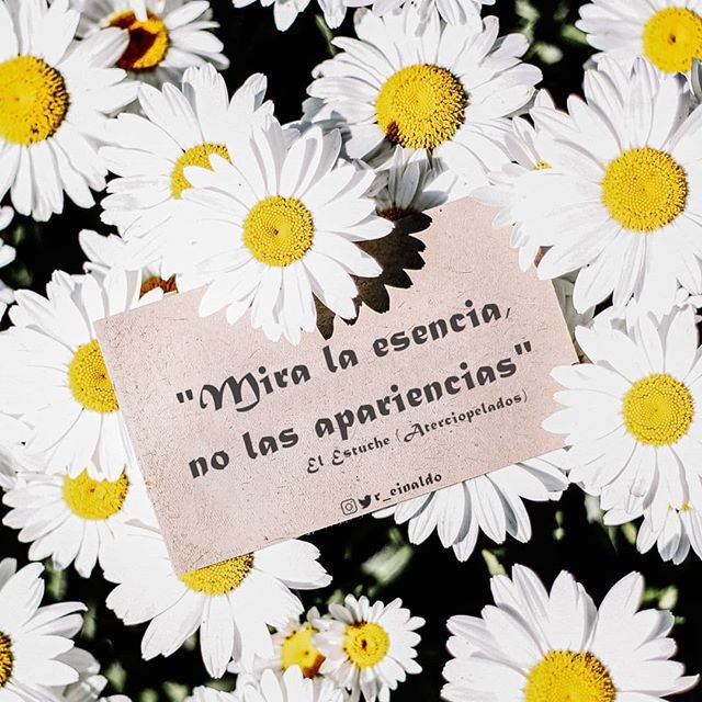 Ineficiente Shuraba Especialista mira la esencia Cálculo en lugar ...