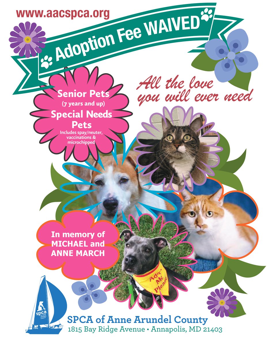 News – SPCA of Anne Arundel County