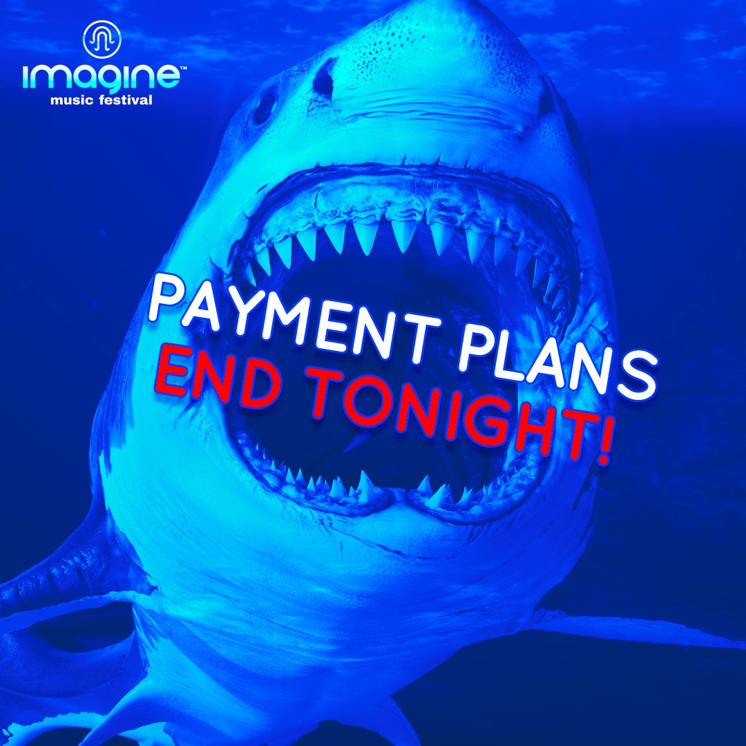 Notice Me Senpai Shark