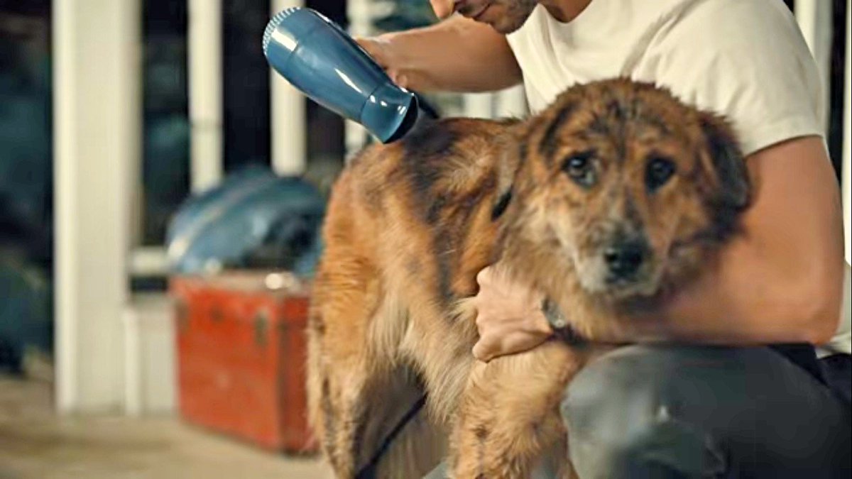 Hannibal Winston Will