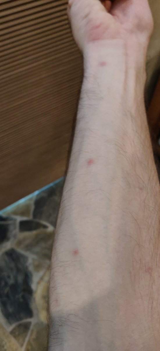 Jordy Moos (@JordyMoos) | Twitter