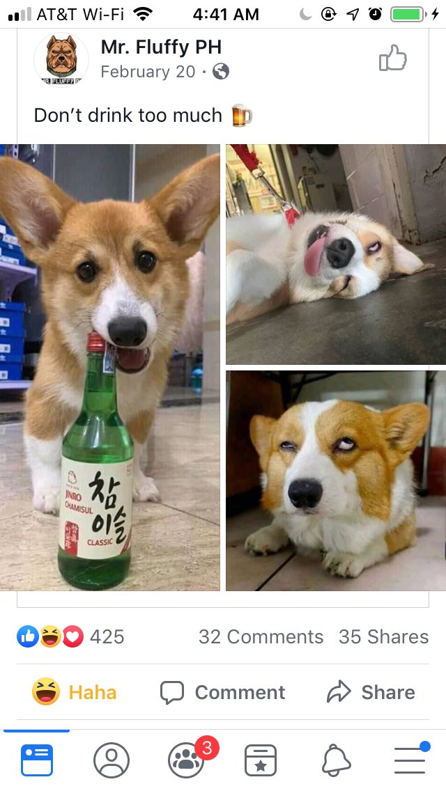 Jessica Lam 👩🏻‍💻👩🏻‍🎨 deprecated,use Mastodon on Twitter: "A drunk. Corgi. https://t.co ...