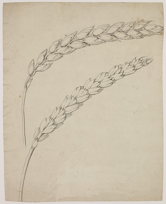 A thread written by @RobertBohan: "Thread: Philipp Otto Runge (1777 ...