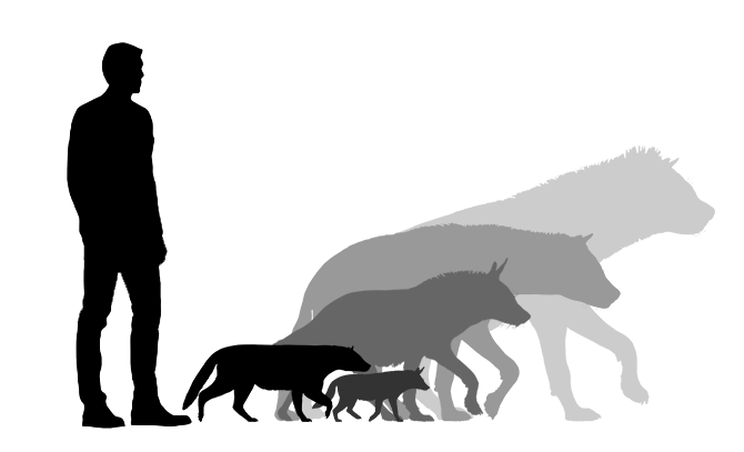 Cave Hyena Vs Dire Wolf