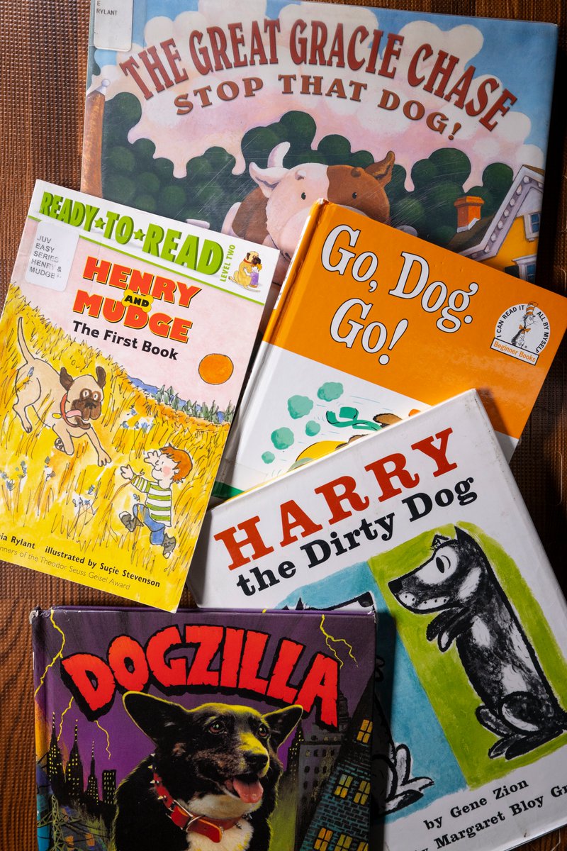 Pictures From The Book Dogzilla