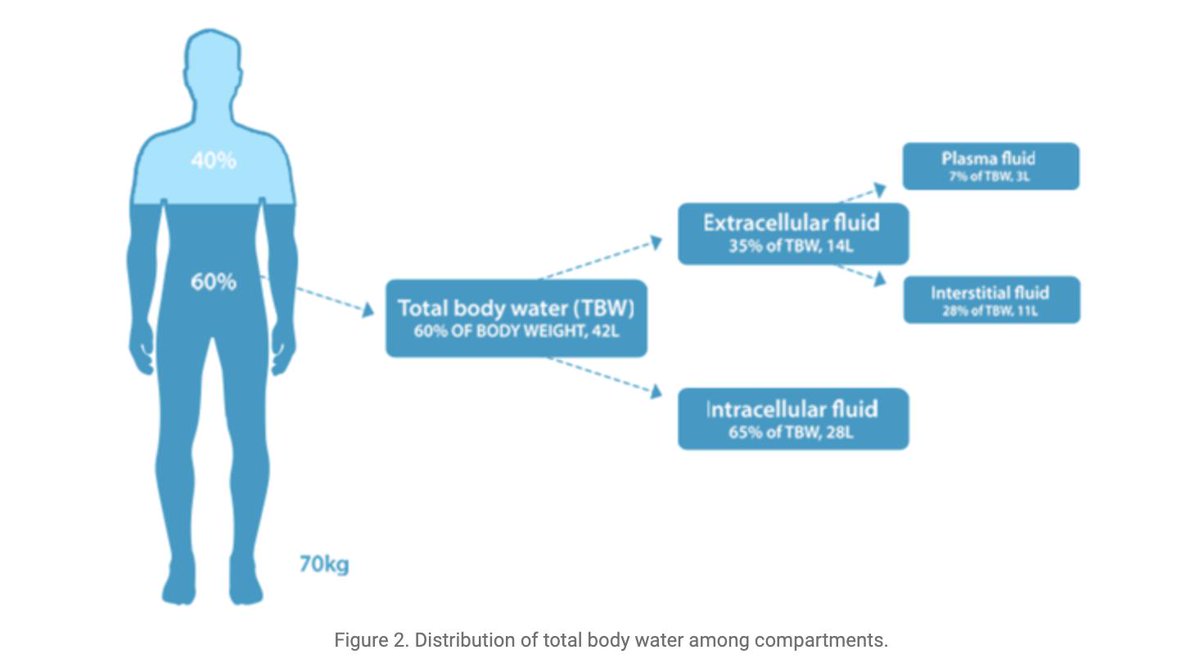 Water Balance In Body at Gary Doerr blog
