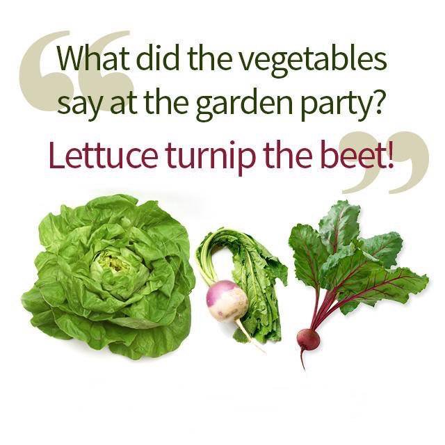 Turnip Funny Memes