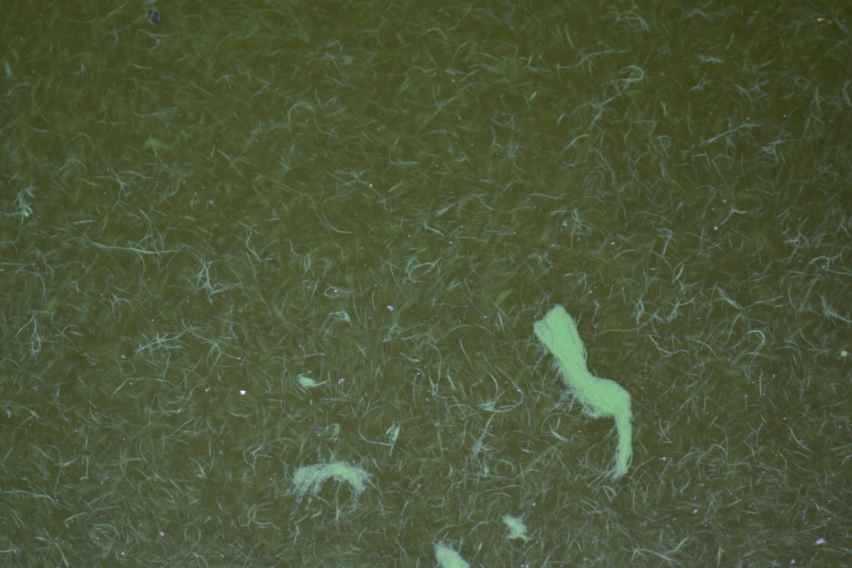 Muddy Water Initiative – Clean River, Healthy Communities