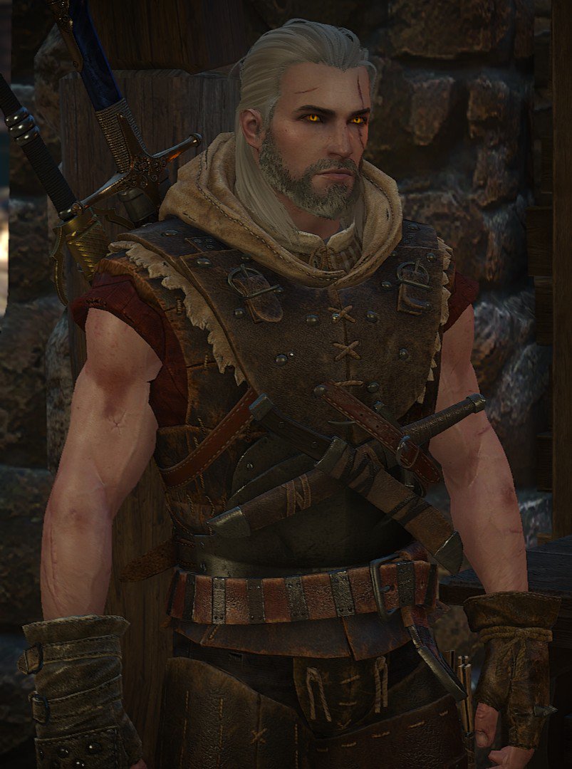 The witcher 3 mods nexus - crewberlinda