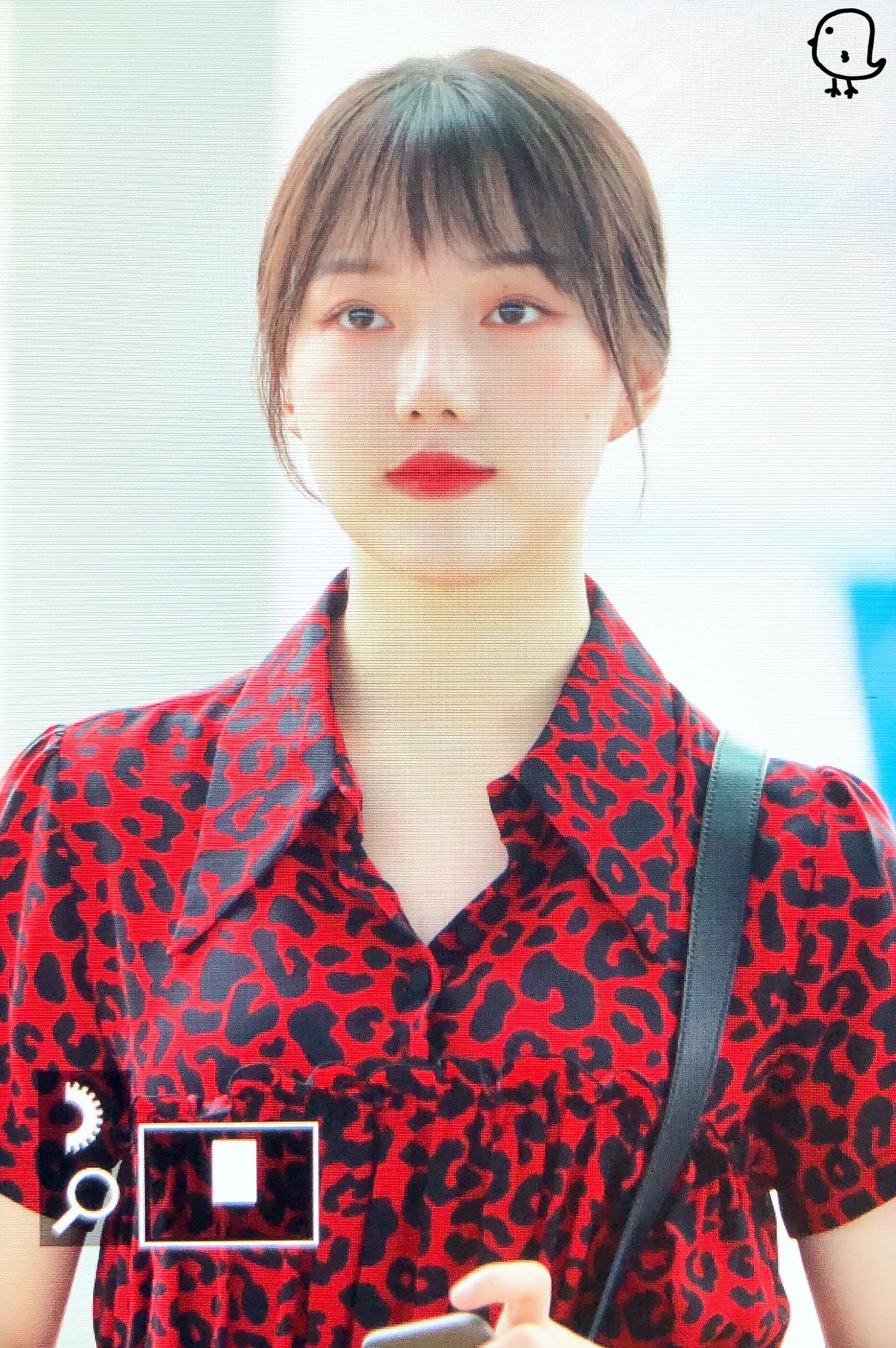 🐰𝘑𝘜𝘕𝘎𝘋𝘜𝘖🐥 on Twitter: "190725 인천출국 #예린 #정예린 #YERIN #여자친구 #GFRIEND @GFRDofficial https://t.co ...