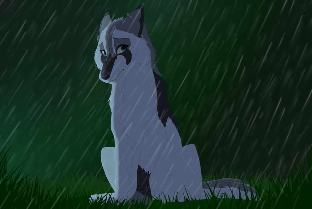 Sad Anime Wolf Drawings