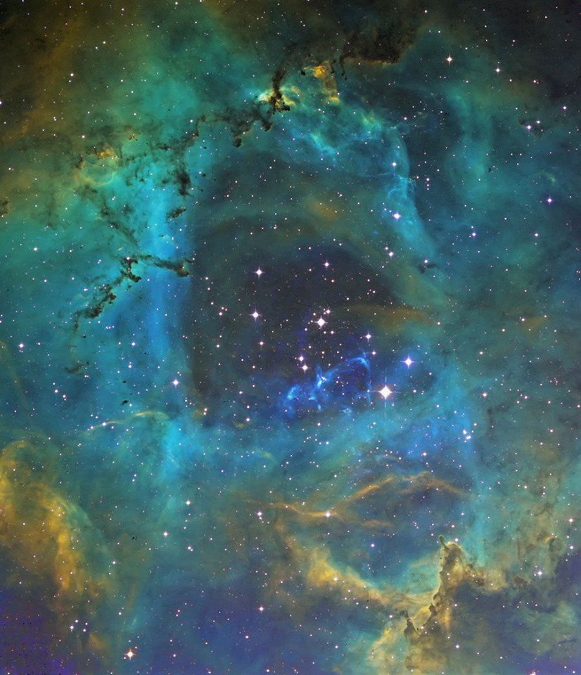 From counting stars to shooting stars Stunning photos of the Rose ...