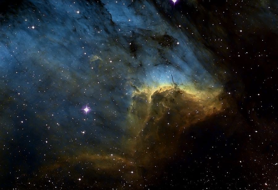 From counting stars to shooting stars Stunning photos of the Rose ...