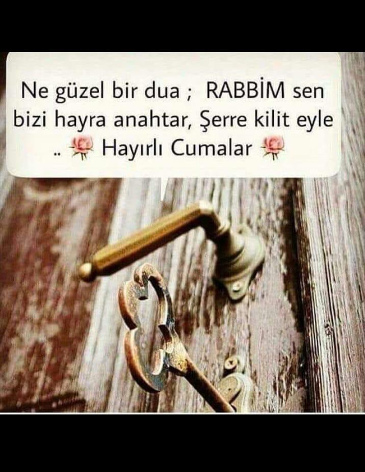 Sevim (@Sevim74170160) | Twitter