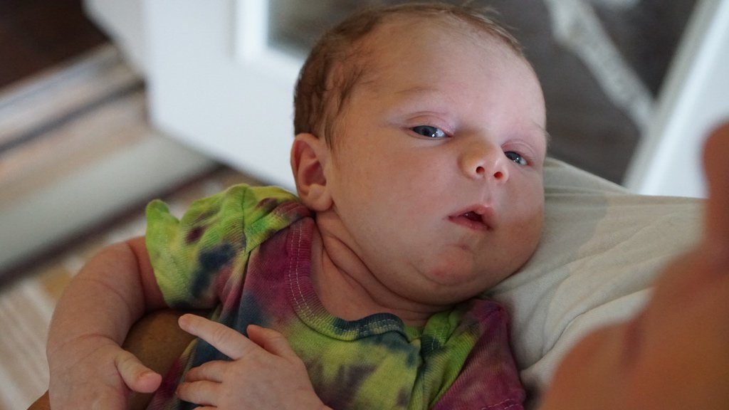 Meme Face Little Girl