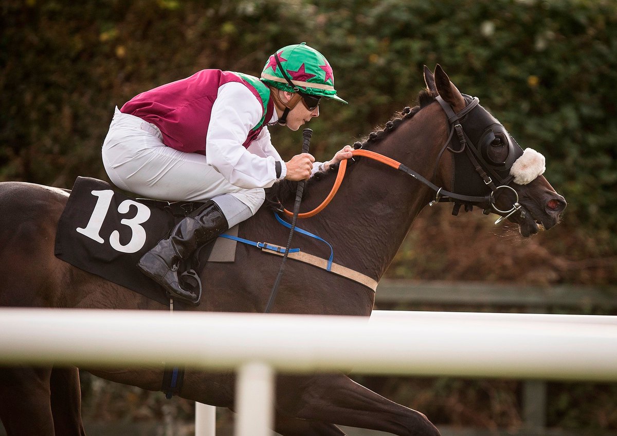 Today's early market mover is Emperor Bob in the 1:25 at GowranPark1 ...