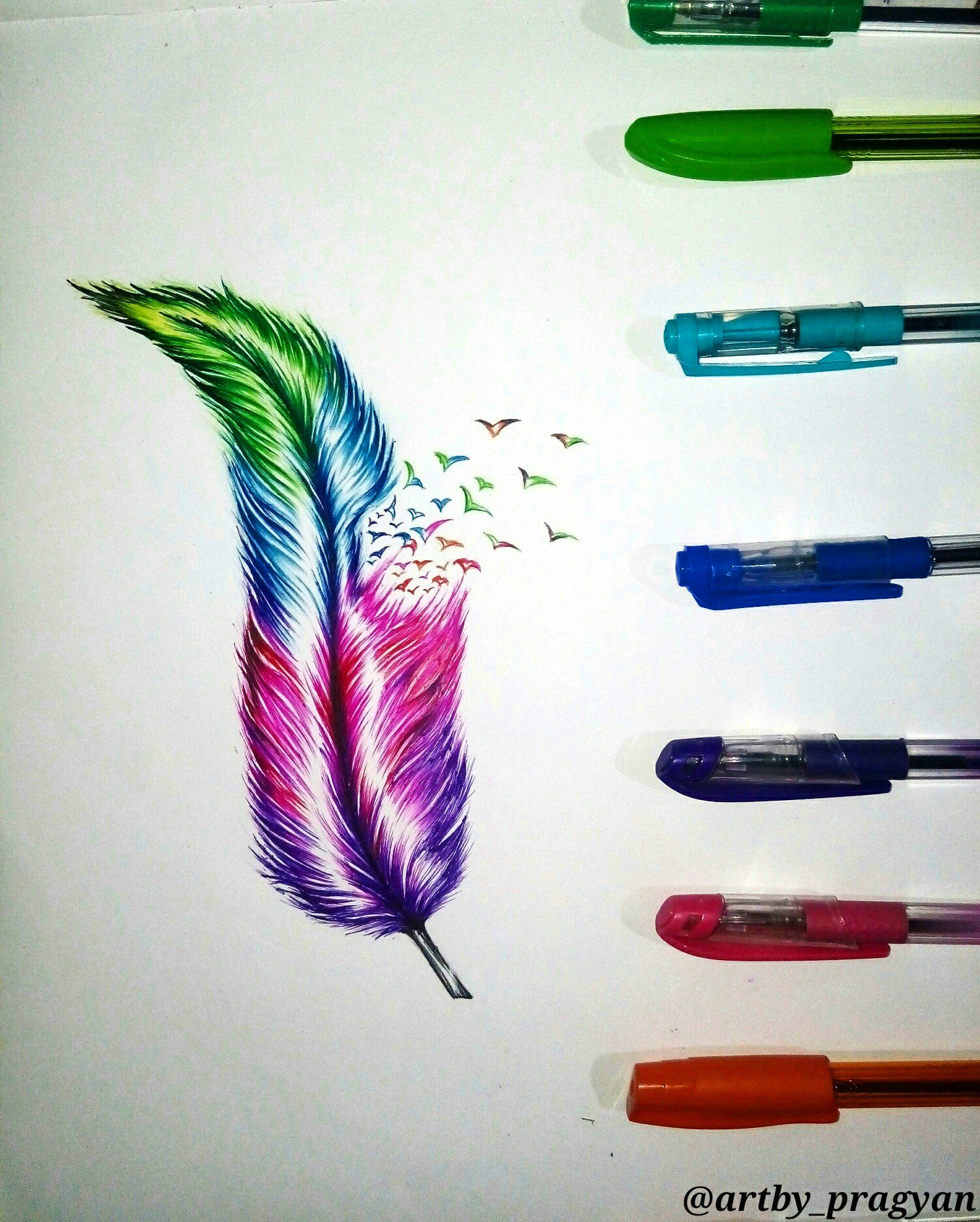 Feather Drawing Color
