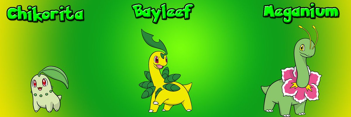 Pokemon Chikorita Evolutions