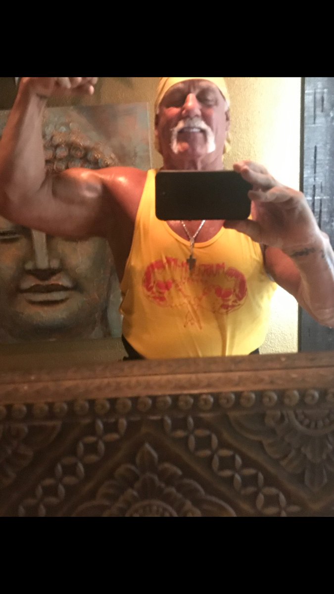 Hulk Hogan 24 Orlach Pythons Meme Hulk Hogan 24 Inch Pythons Wrapped