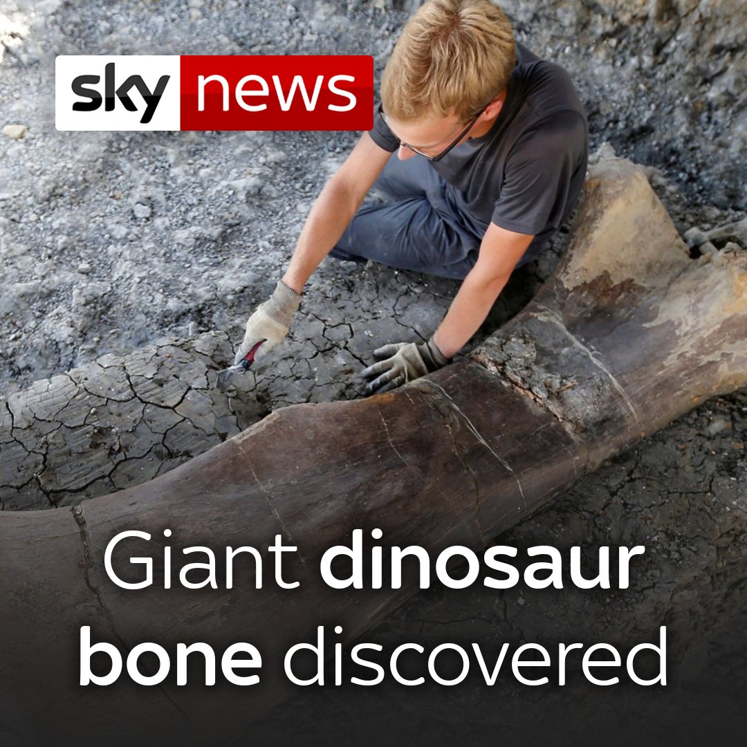 A huge 120-million-year-old dinosaur bone? has been found at an ... A huge 120-million-year-old dinosaur bone? has been found at an ...