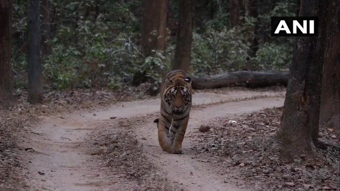 Scoopnest News | Latest news, Breaking news headlines