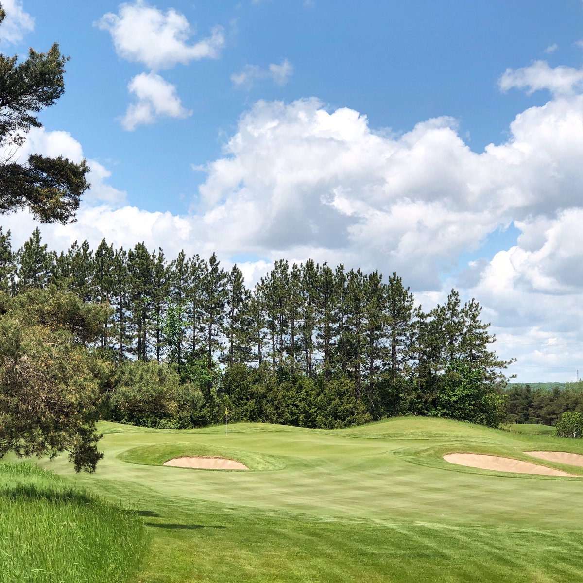 Awards & Accolades | tpc.com