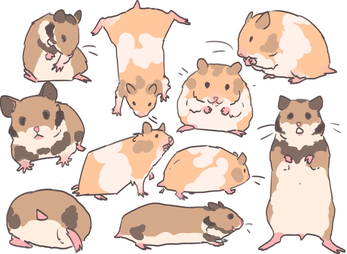 「hamster doodles just because 」|deli🐹💐(hiatus🐣)のイラスト