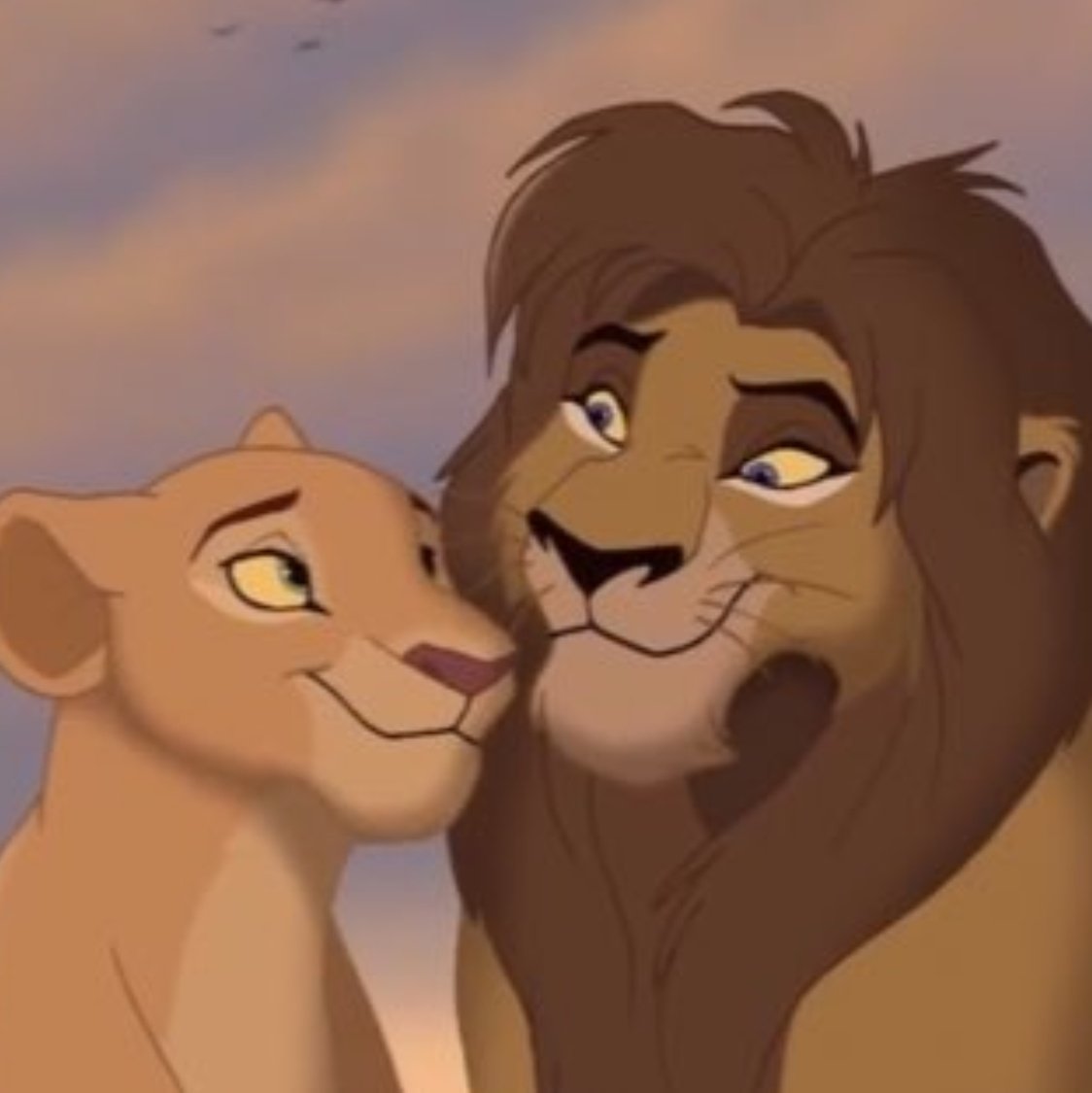 Lion King Sarafina And Her Mate
