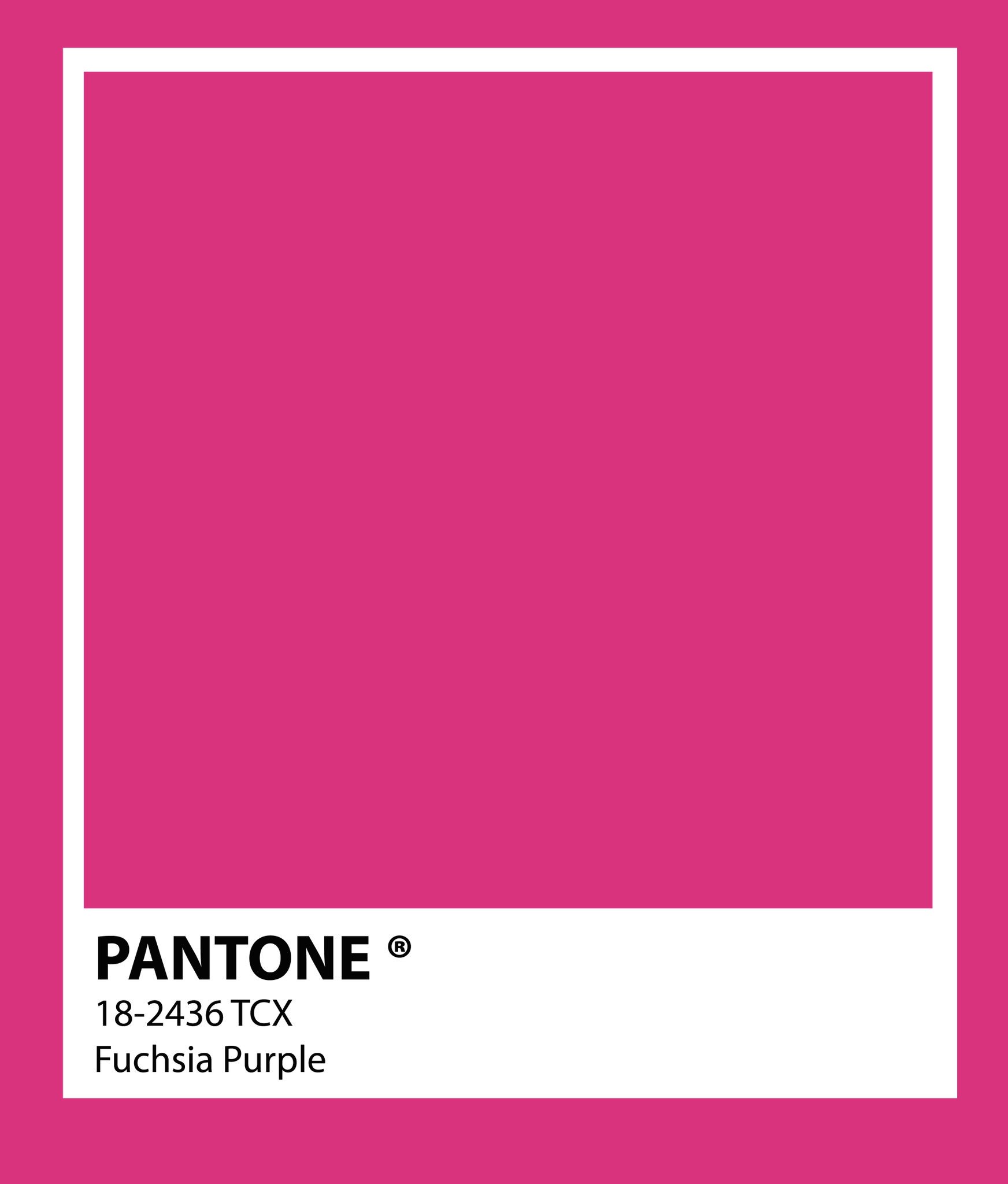 Fuchsia Color Pantone