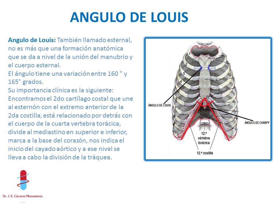 ángulo Esternal