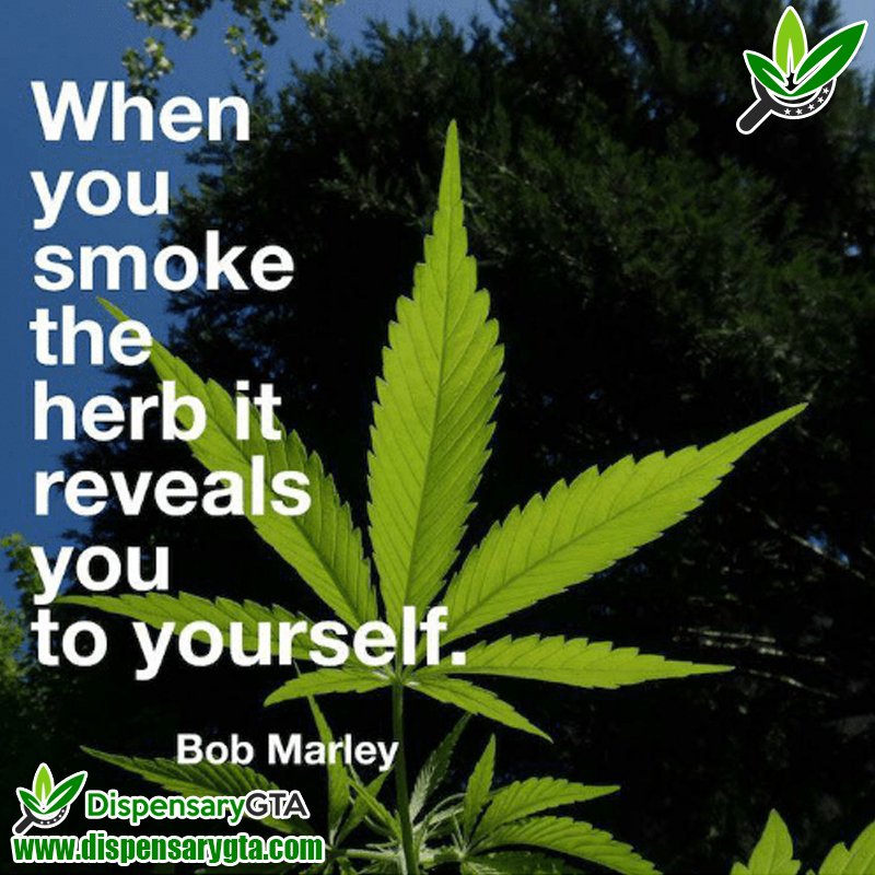 Smoking Weed Quotes Bob Marley