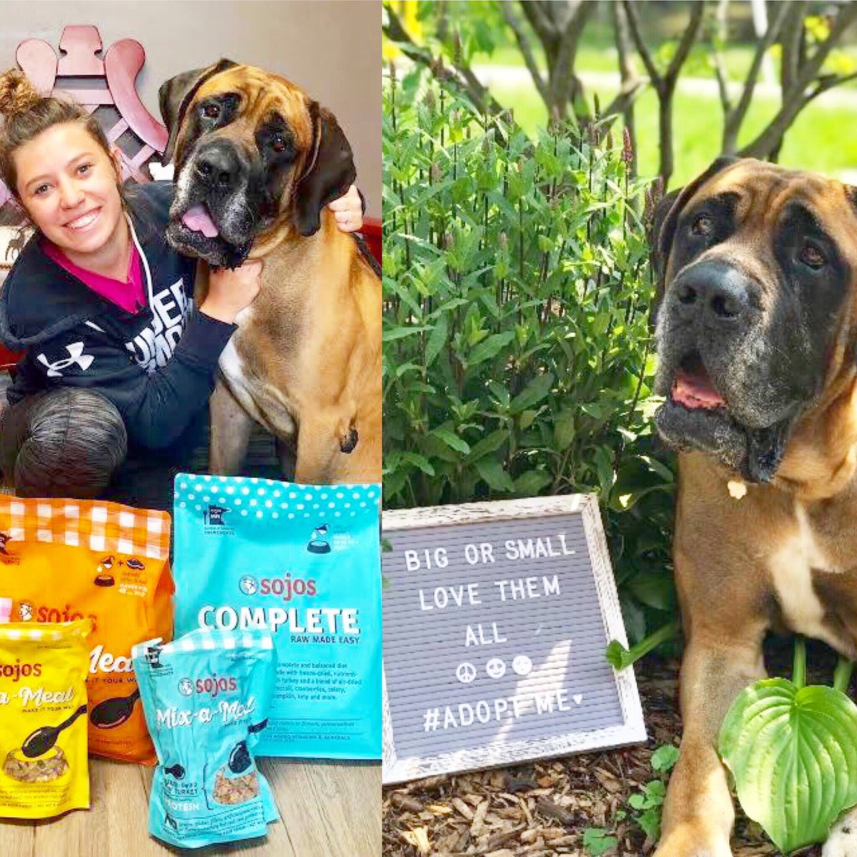 Is Sojos Good For Puppies