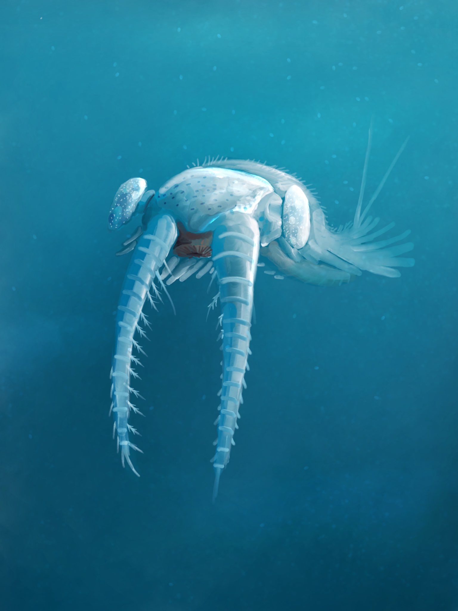 Walking With Monsters Anomalocaris