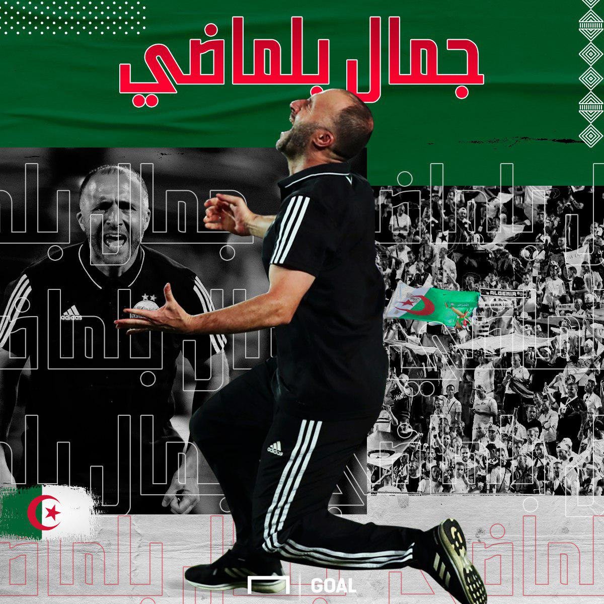 Tamer Amer (@TamerAm62426896) | Twitter