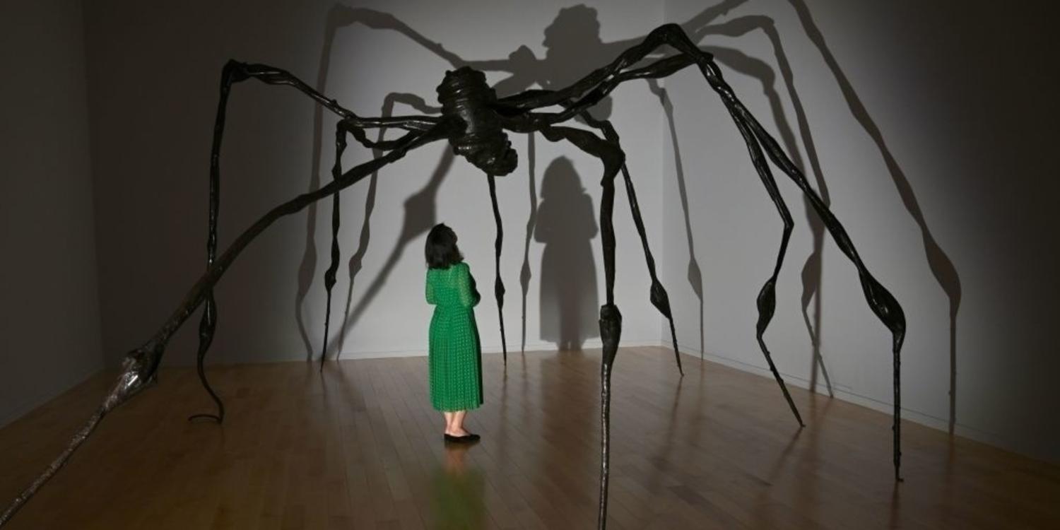 Most Disgusting Spider